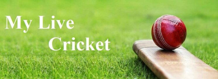 Which Site Is Best for Live Cricket Streaming to Watch in USA - Top Picks
